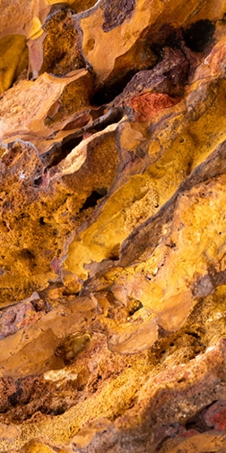 Real Art Ways | Independent Cinema | Contemporary Art | Live Art ...